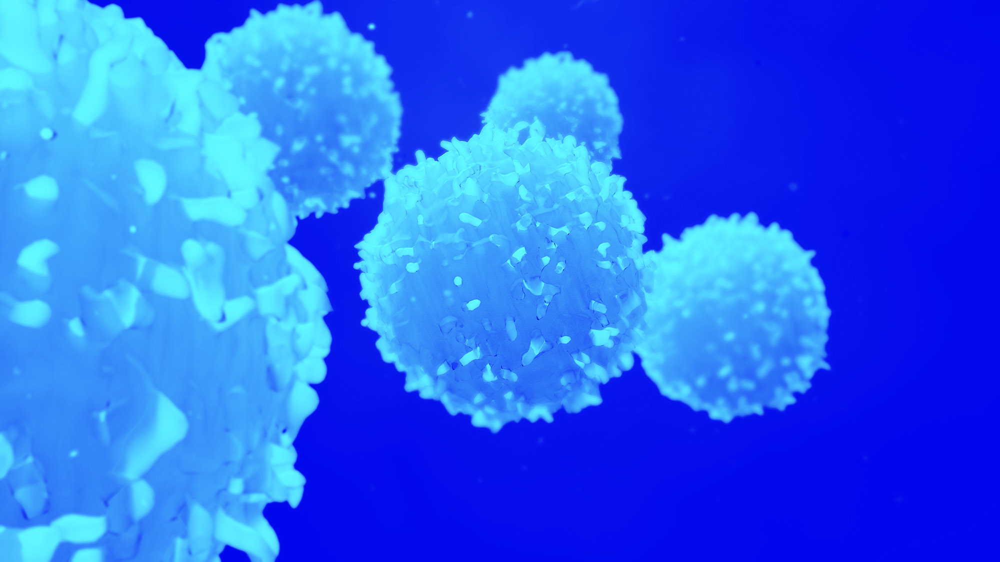 Stratifying Risk for Early Detection in Hereditary Breast and Ovarian ...